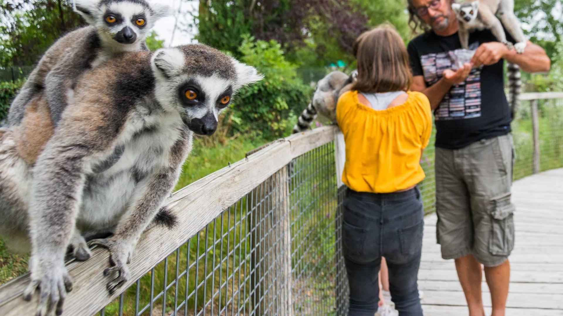 Base de loisirs du Houssay à Spay (Spay) | Office de Tourisme Vallée de ...